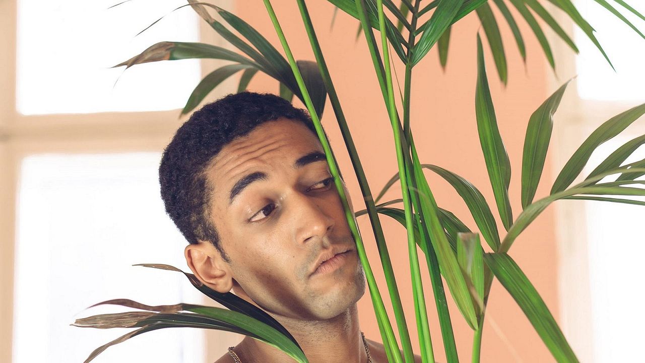 All You Need : All You Need : Foto - Foto 4 sobre 10 - SensaCine.com