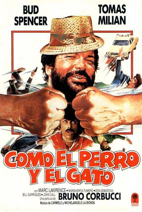 Cartel de la película Como el perro y el gato - Foto 1 por un total de 1 - SensaCine.com