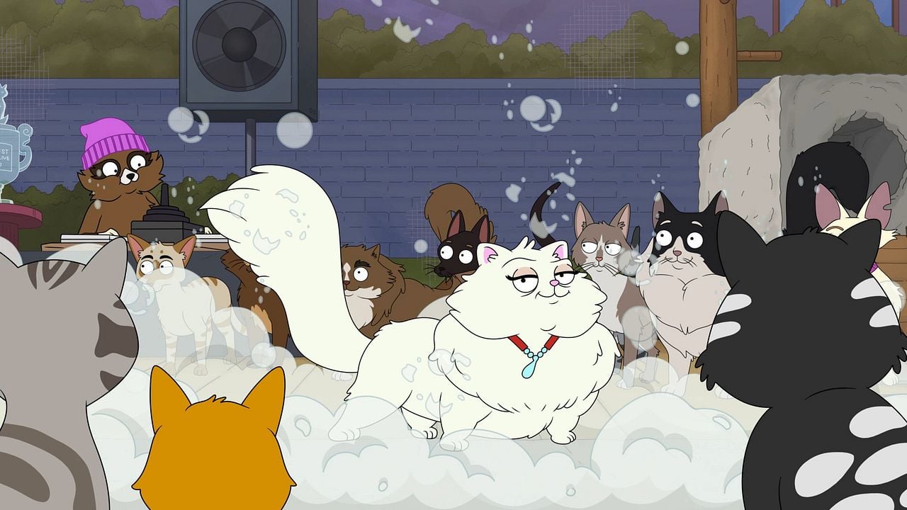 Housebroken : Housebroken : Foto - Foto 3 sobre 9 - SensaCine.com