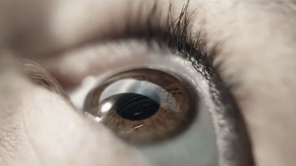 Tráiler de la película [REC]⁴ - [REC]⁴ Tráiler - SensaCine.com