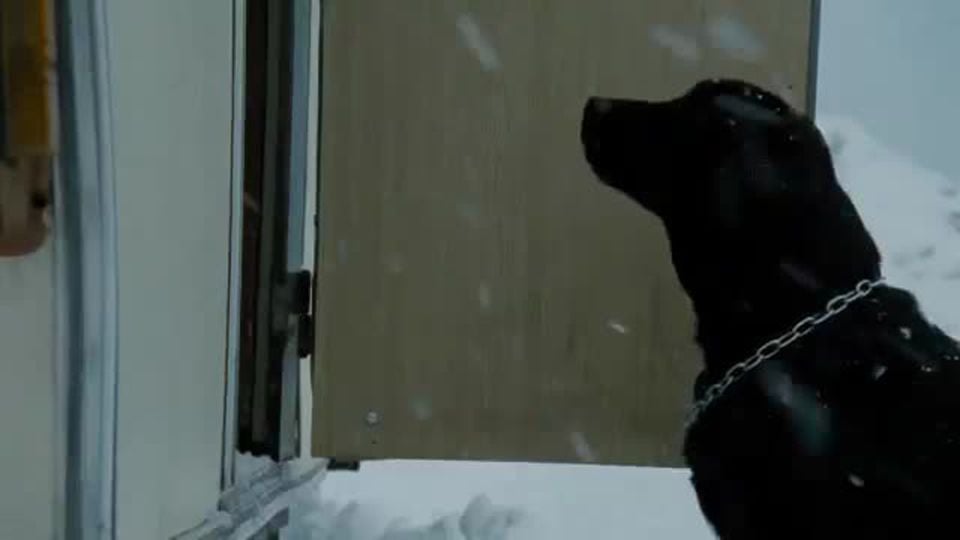 Tráiler de la película Labrador - Labrador Tráiler VO - SensaCine.com
