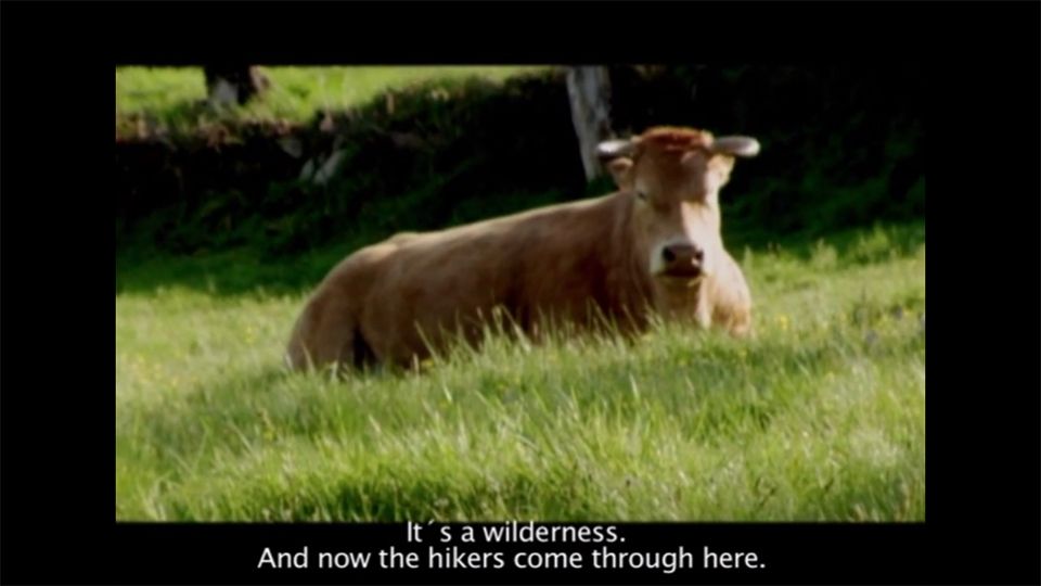 Tráiler de la película Verengo - Verengo Tráiler - SensaCine.com