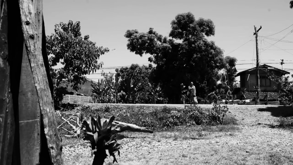 Tráiler de la película The Woman Who Left - The Woman Who Left Tráiler ...