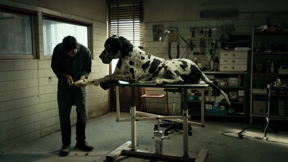Tráiler de la película Dogman - Dogman Tráiler - SensaCine.com