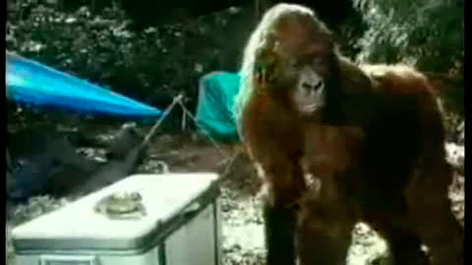 Tráiler de la película Congo - Congo Tráiler - SensaCine.com