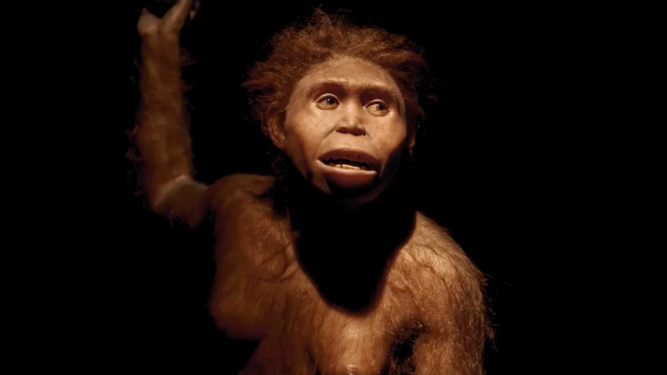 Tráiler de la película Persona (no) humana - Persona (no) humana ...